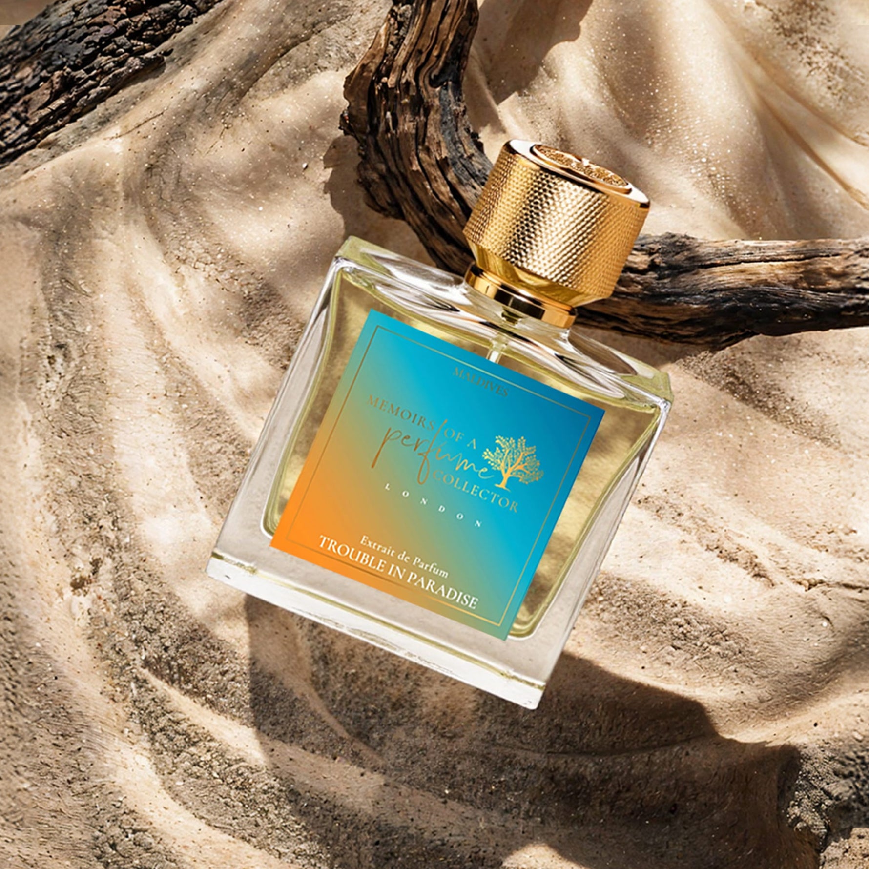 Luxury Niche Perfumes in UAE | The Scent Library – The Scent Library
